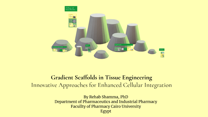 Gradient Scaffolds in Tissue Engineering by Rehab Shamma on Prezi