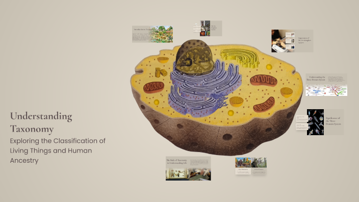 Understanding Taxonomy by Kathlene Syra Calagos on Prezi