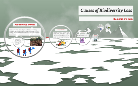 Causes of Biodiversity Loss by on Prezi
