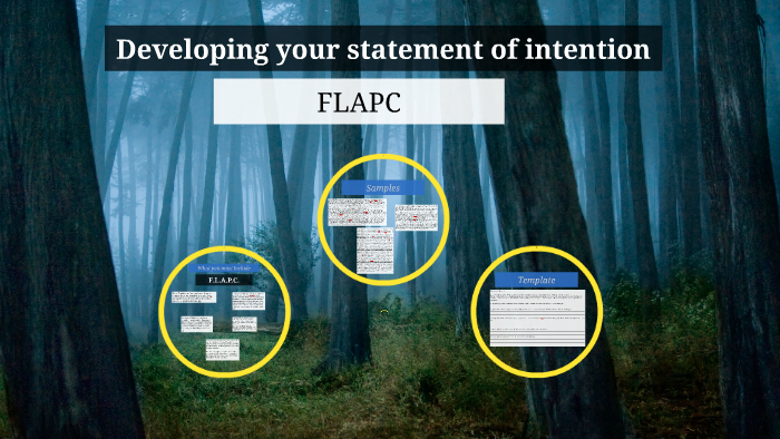 statement-of-intention-by-megan-snell