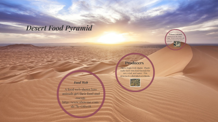 Desert Food Pyramid by elizabeth wolfer on Prezi