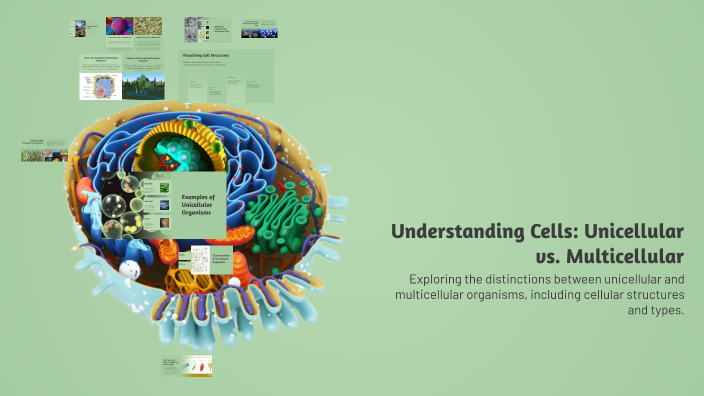 Understanding Cells: Unicellular vs. Multicellular by mary ann orillo ...