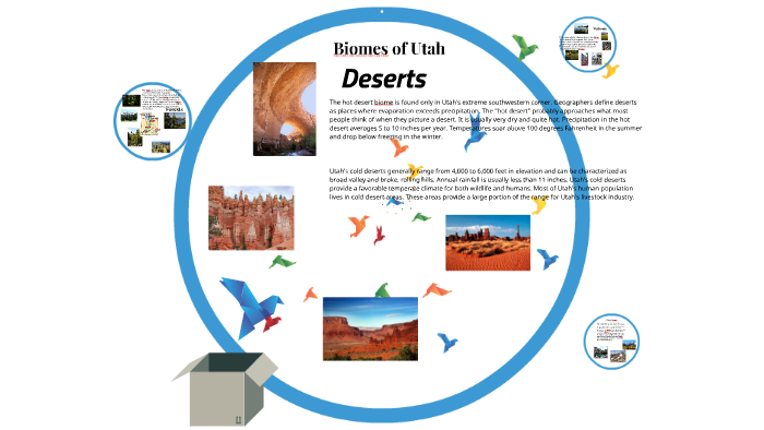 Biomes of Utah by Eileen Whitehead on Prezi