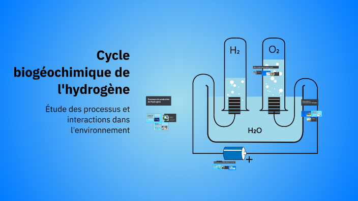 Cycle biogéochimique de l'hydrogène by erica ribeiro on Prezi