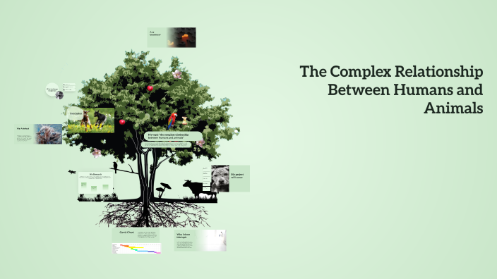 The Complex Relationship Between Humans and Animals by delia ...
