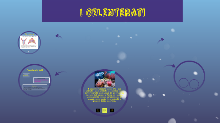 I Celenterati by Emanuele Ventura on Prezi