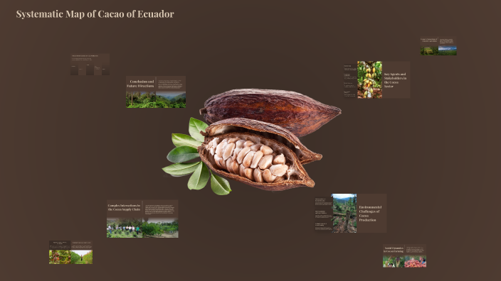 Systematic Map of Cocoa on the Coast of Ecuador by Arber Rodriguez on Prezi