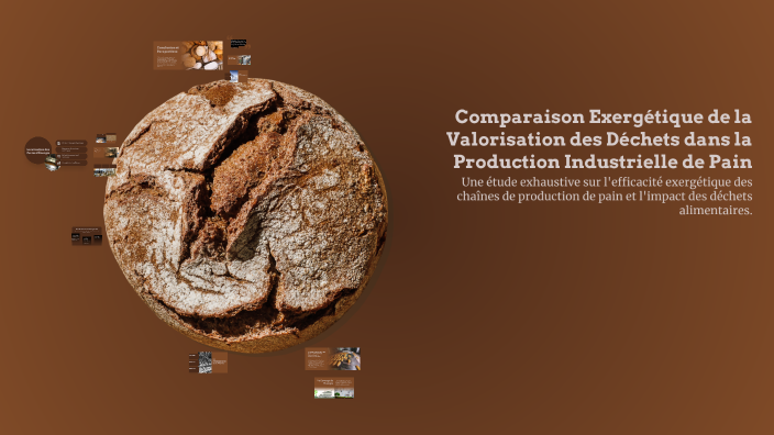 Comparaison Exergétique de la Valorisation des Déchets dans la ...
