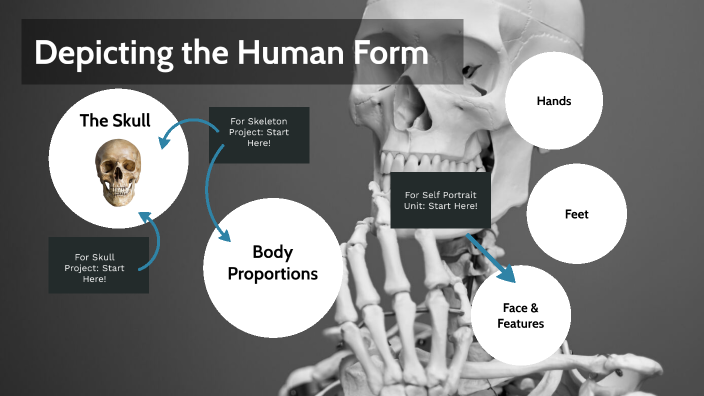 Drawing the Human Form by Celina Marquis Kelly on Prezi