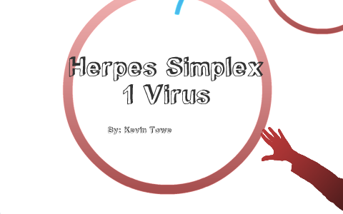 Herpes simplex virus by Kevin Towe