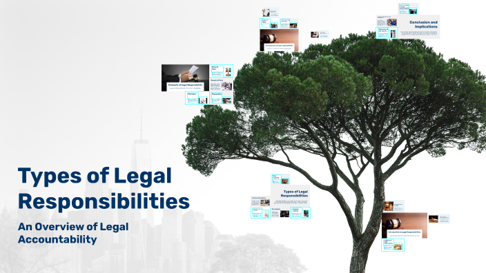 Types of Legal Responsibilities by Huyền Hương on Prezi