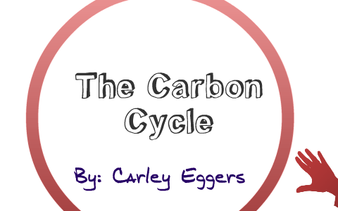 The Carbon Cycle by Carley Eggers on Prezi
