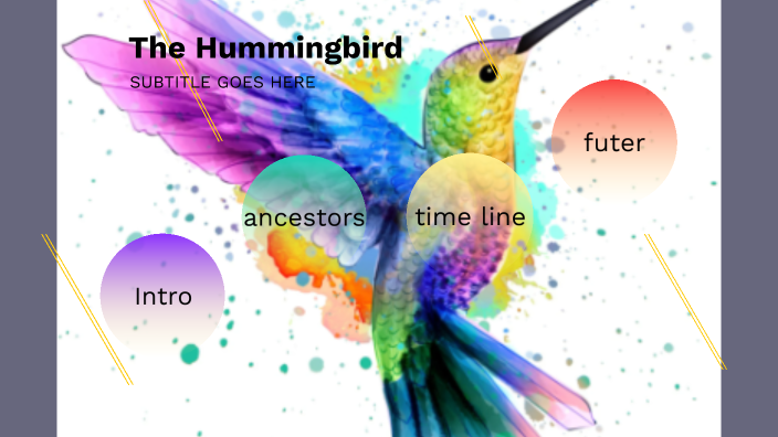 Evolution of a Hummingbird by Grayson Tomaski on Prezi
