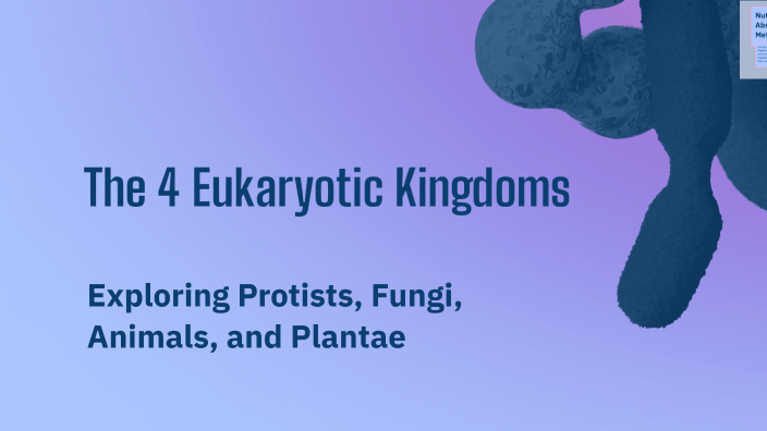 The 4 Eukaryotic Kingdoms by PayPal Madison on Prezi