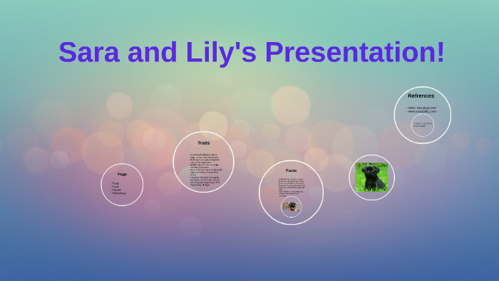 Pug Traits by Jennifer Sladek on Prezi