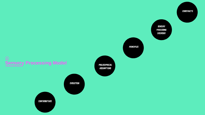 Sensory Processing Model by Anne Powell on Prezi