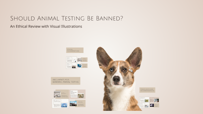 Should Animal Testing Be Banned? by Muhammad Tayyab Ali on Prezi