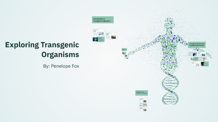Exploring Transgenic Organisms by Penelope Fox on Prezi