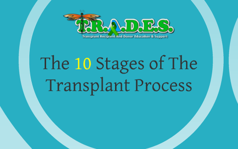 10 Major Steps Of A Transplant Process by Thomas B on Prezi