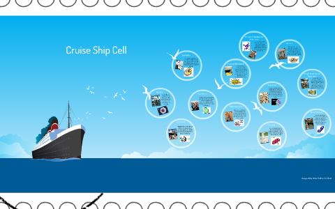 Cruise Ship Cell by Emily Hyatt on Prezi
