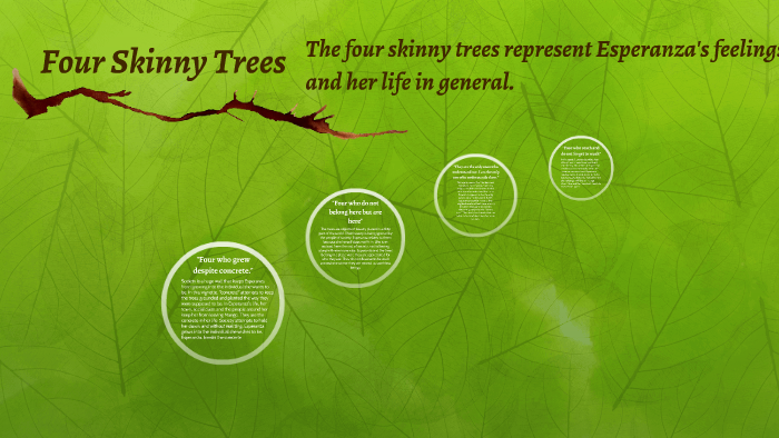 Four Skinny Trees by Mallory Fitzhenry