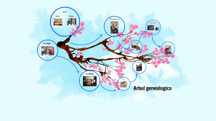 Arbol genealogico by Catherine Angèlica Castiblanco Bernal on Prezi