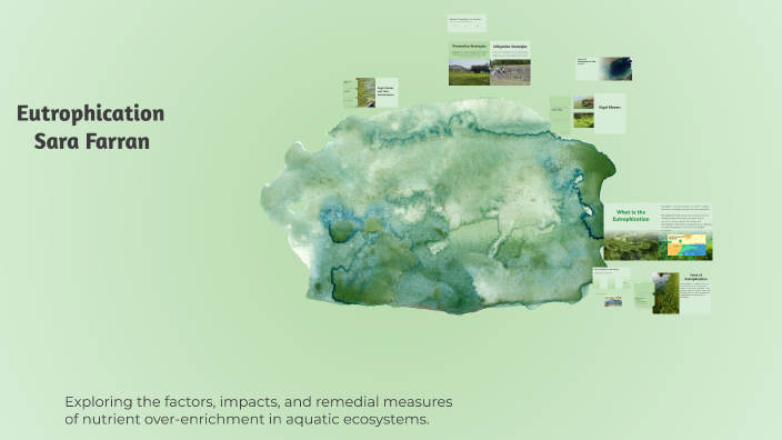 Understanding Eutrophication: Causes, Effects, and Solutions by sara ...