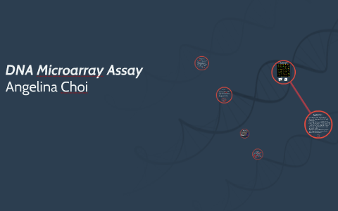 DNA Microarray Assay by Ange Choi on Prezi