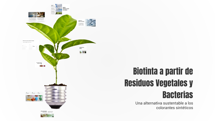 Biotinta a partir de Residuos Vegetales y Bacterias by catalina miranda ...