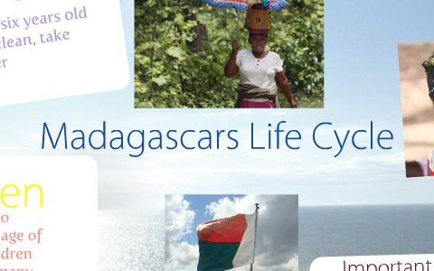 Madagascar Life Cycle by TaNisha Hill on Prezi