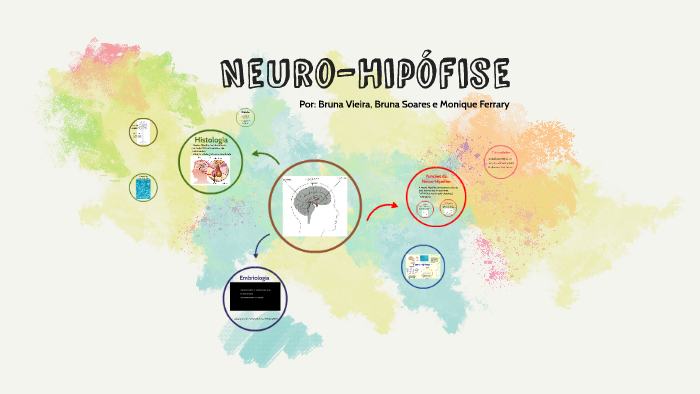 Neuro-Hipófise by Bruna Vieira on Prezi