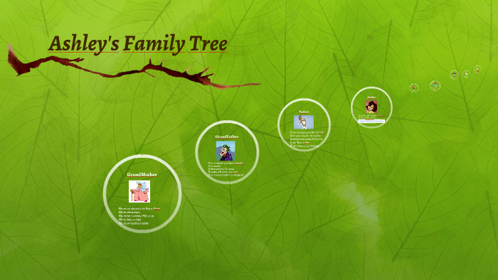 Ashley's Family Tree by Ashley Findlater on Prezi