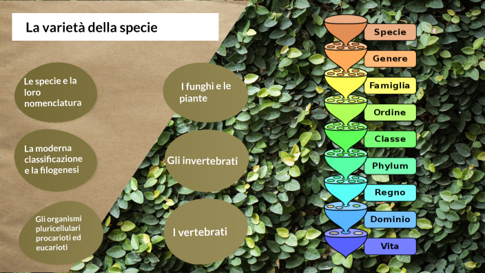 La varietà della specie by gaia panebianco on Prezi