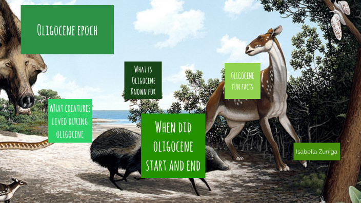 Oligocene by Isabella Zuniga on Prezi