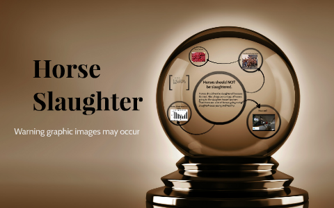 Horse Slaughter by Brooke Sowiak on Prezi