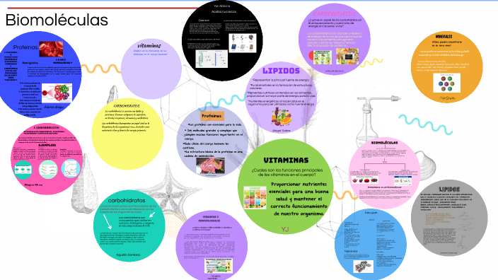 Biomoléculas by sabrina fernandez on Prezi