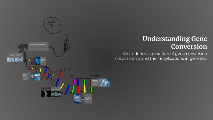 Understanding Gene Conversion by SATYAM MAURYA on Prezi