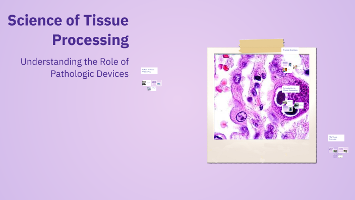 Science of Tissue Processing by mohammad sa2720 on Prezi