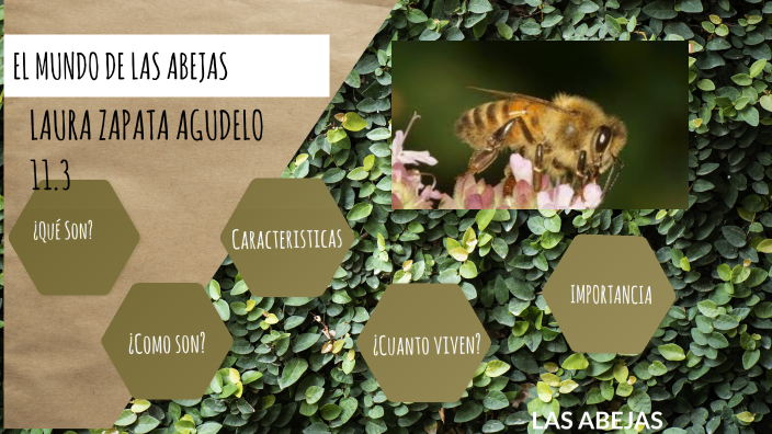 EL MUNDO DE LAS ABEJAS by Laura Zapata Agudelo on Prezi