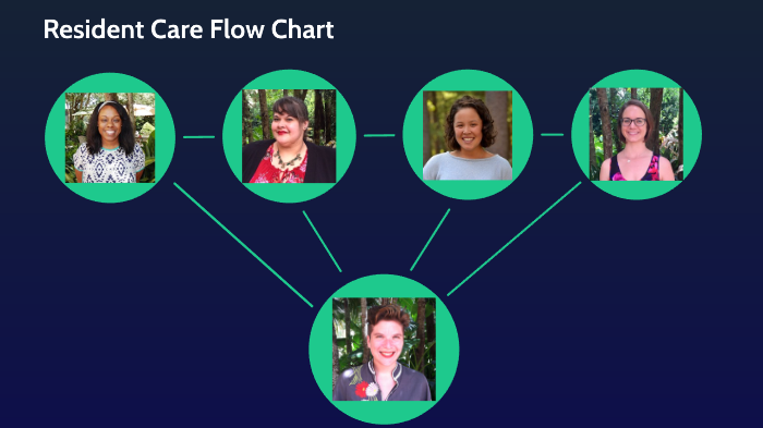 Resident Care Flow Chart by Tess Trinka on Prezi