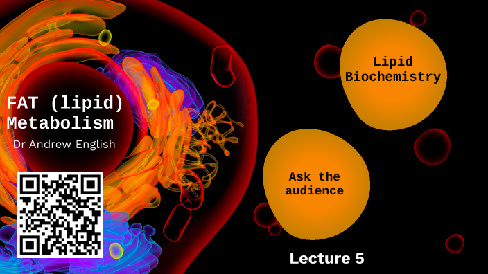 Lecture 5 - Lipid metabolism by Andrew English on Prezi