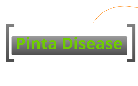 Pinta disease by Syed Quadri on Prezi