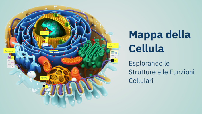 Mappa della Cellula by Maria Elena Coraggi on Prezi