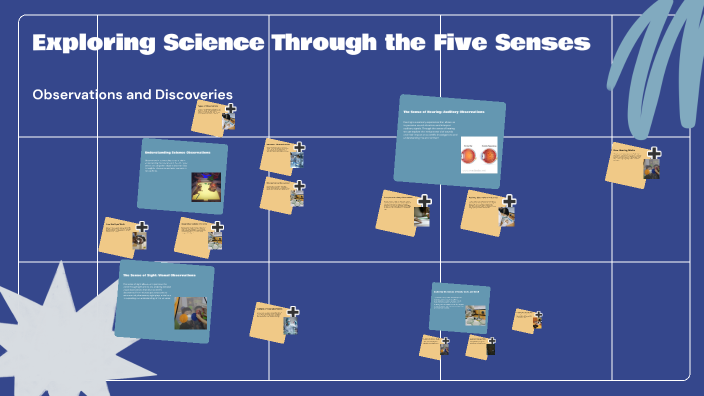 Exploring the Five Senses by Elizabeth on Prezi
