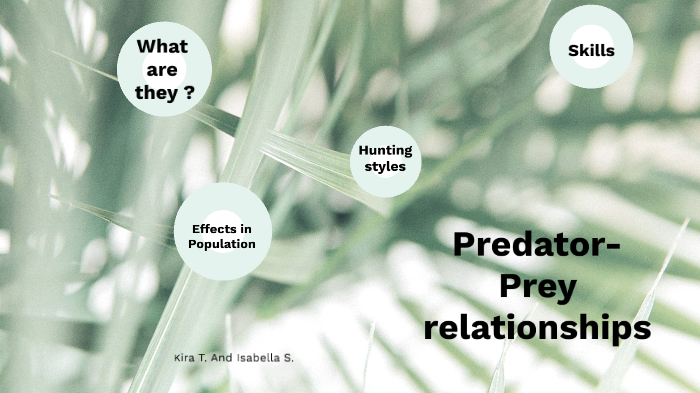 Predator-Prey Science Project by Kira Thording on Prezi