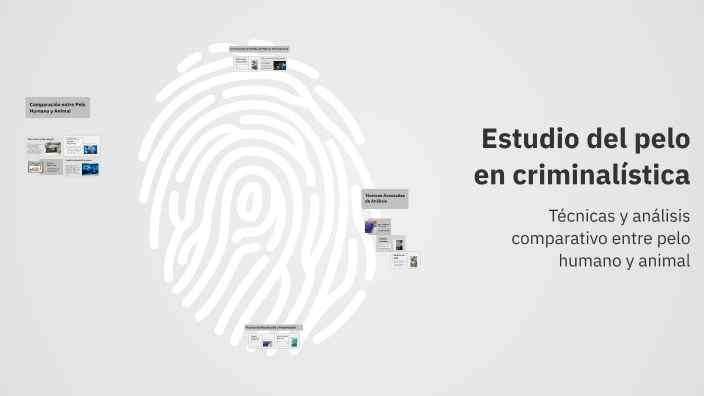 Estudio del pelo en criminalística by ANDREA RAMIREZ MONTER on Prezi