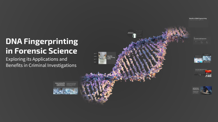 DNA Fingerprinting in Forensic Science by Noah Matthews on Prezi