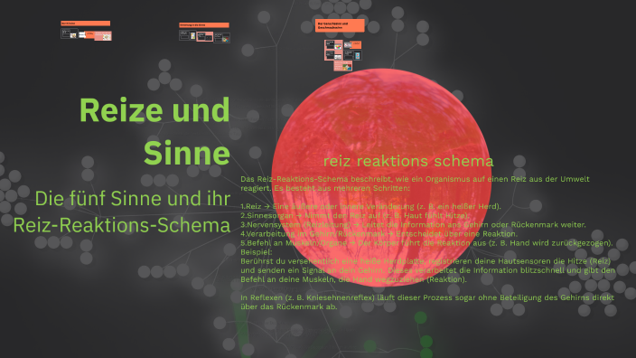 Reize und Sinne by marco rohrer on Prezi