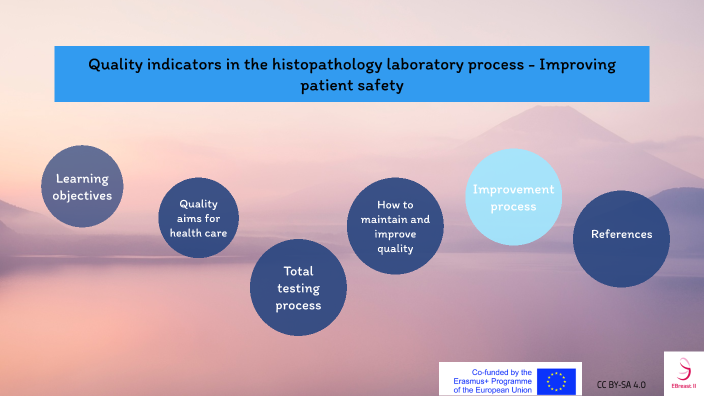 Quality indicators in laboratory process - Improving patient safety by ...