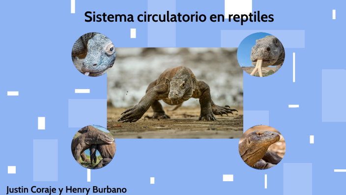 Trabajo biologia, reptiles by justin coraje cedeño on Prezi